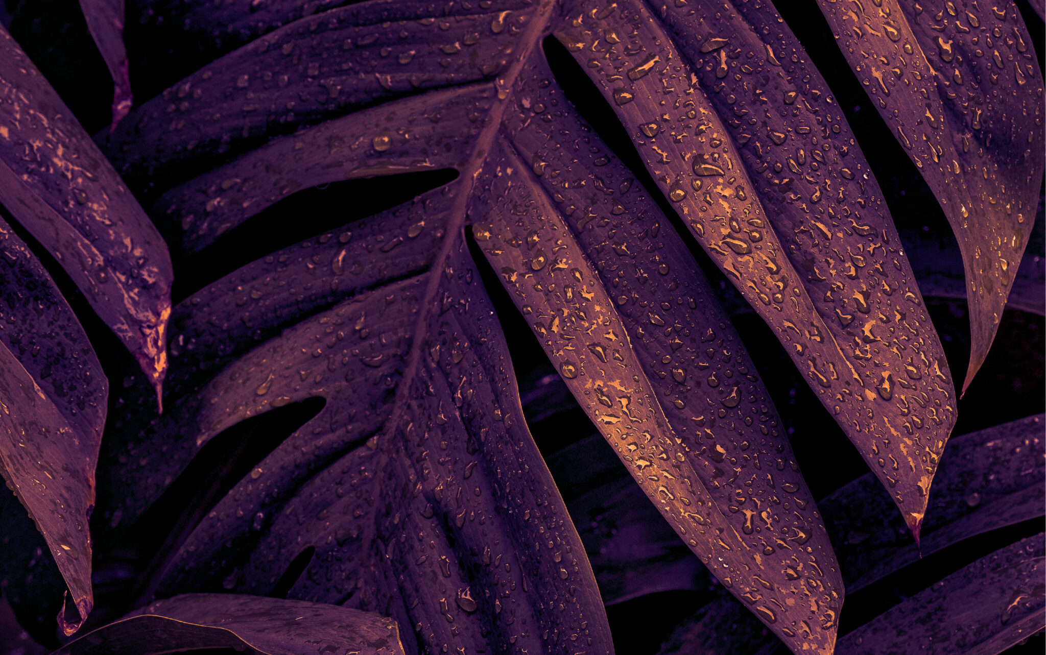 Fondos de pantalla aesthetic morado 【2023】 - Globalendar