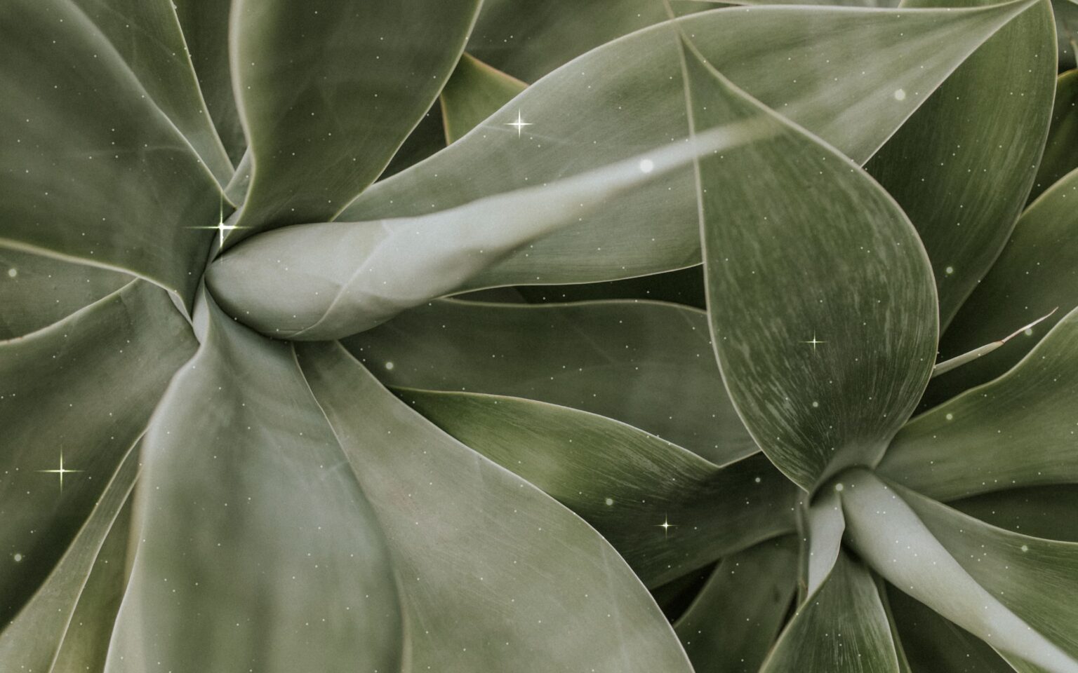 Fondo de pantalla aesthetic pc – Globalendar